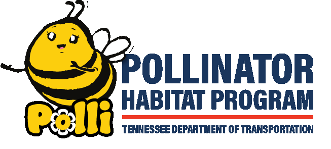 TDOT's Pollinator Habitat Program - TDOT Pollinator Habitat Program