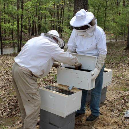 Partners For Pollinators in Tennessee | TDOT Pollinator Habitat Program