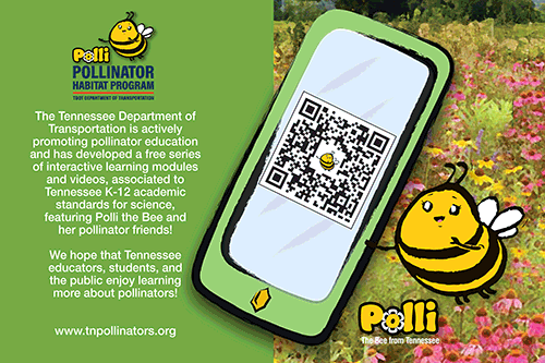 Pollinator References, Helpful Gardening Guides, and Planting Instructions | TDOT Pollinator ...