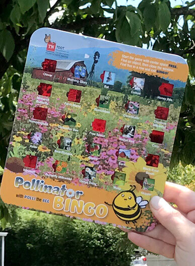 Partners For Pollinators - TDOT Pollinator Habitat Program