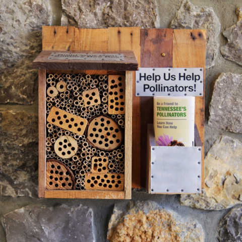 Tennessee Pollinator Project Locations | TDOT Pollinator Habitat Program