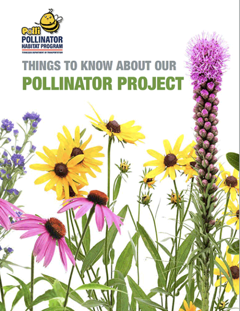 Pollinator References, Helpful Gardening Guides, and Planting Instructions | TDOT Pollinator ...
