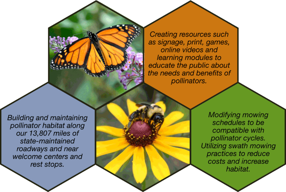 Tennessee Pollinators Habitat Program | TDOT Pollinator Habitat Program