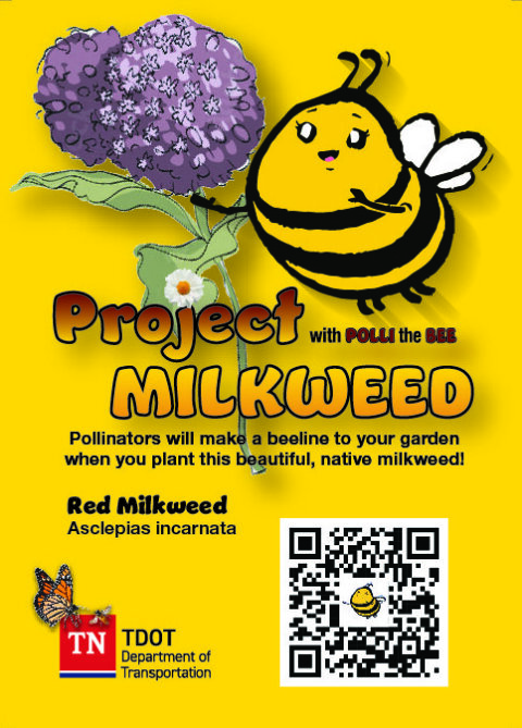 Project Milkweed | TDOT Pollinator Habitat Program