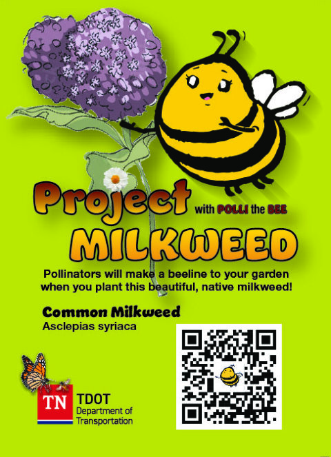 Project Milkweed | TDOT Pollinator Habitat Program