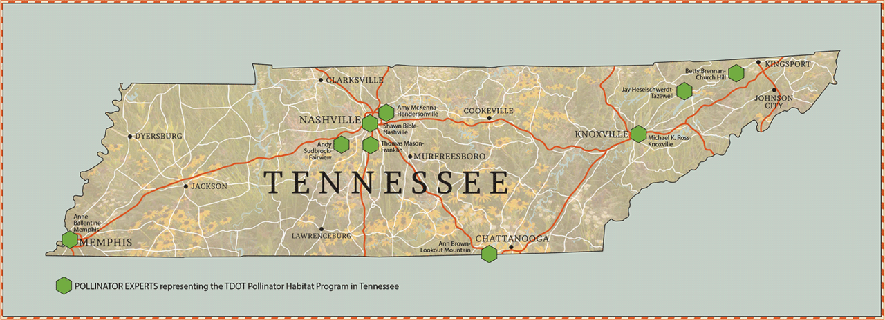 Find A Pollinator Expert in Tennessee | TDOT Pollinator Habitat Program