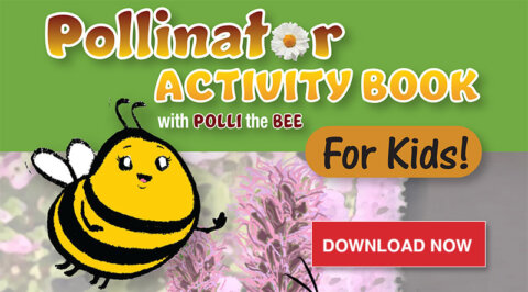 Tennessee Pollinators Habitat Program | TDOT Pollinator Habitat Program